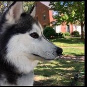 Forums - Practical Shooting Training Group